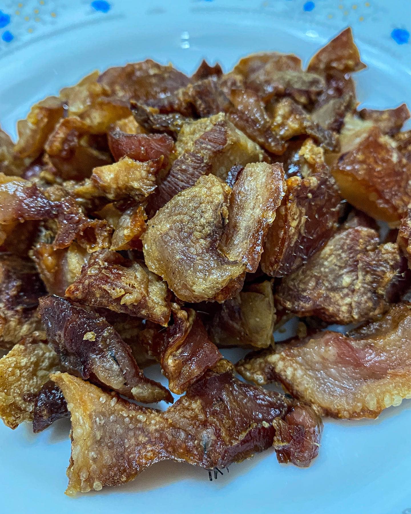 Una tapa de morro en freidora de aire - GOLD-8